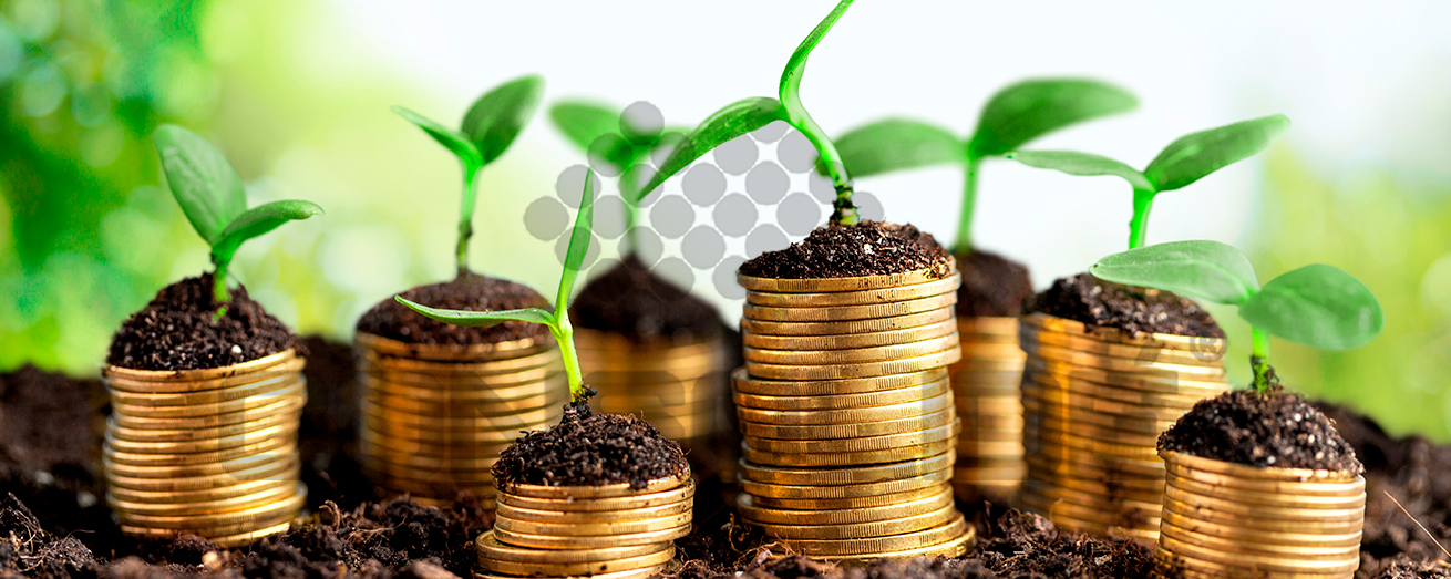 Invertir no es complicado; conoce las mejores inversiones de 2019 y haz ...